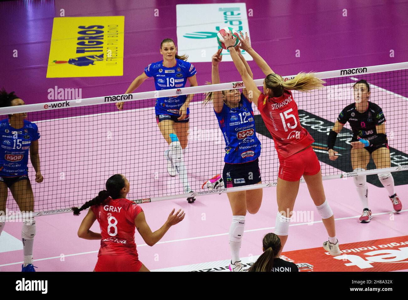 Stevanovic igor hi-res stock photography and images - Alamy