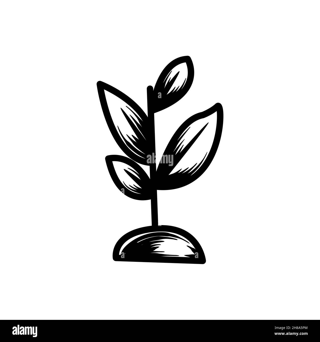 Seedling In Hand Drawing