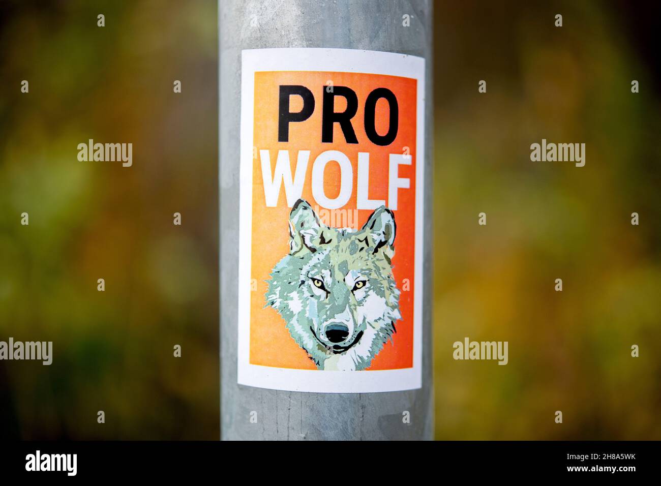 Bassum, Germany. 26th Nov, 2021. A sticker with the inscription "Pro ...