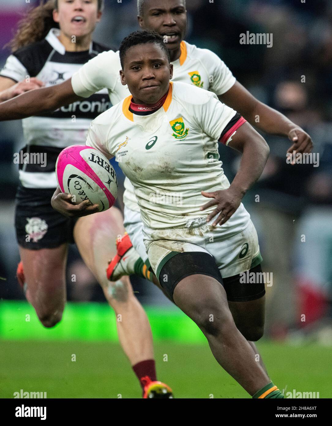 Springbok rugby action hi-res stock photography and images - Alamy