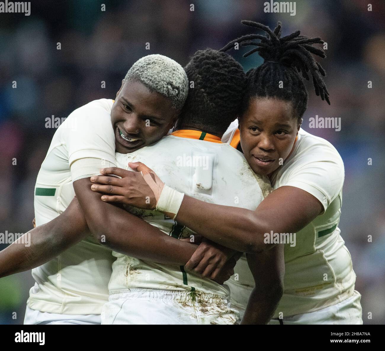 Springbok r hi-res stock photography and images - Alamy