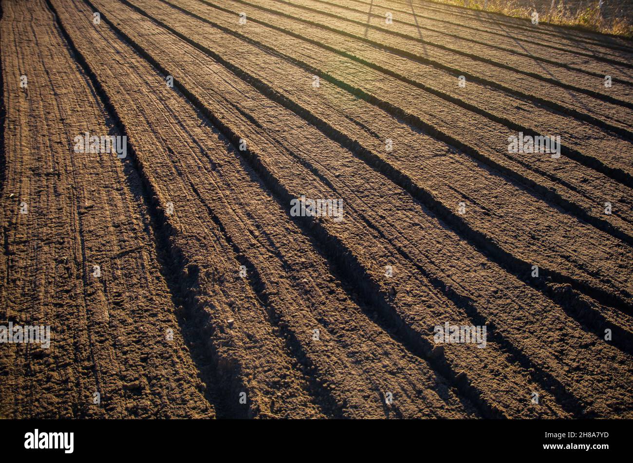Earth cutting hi-res stock photography and images - Alamy