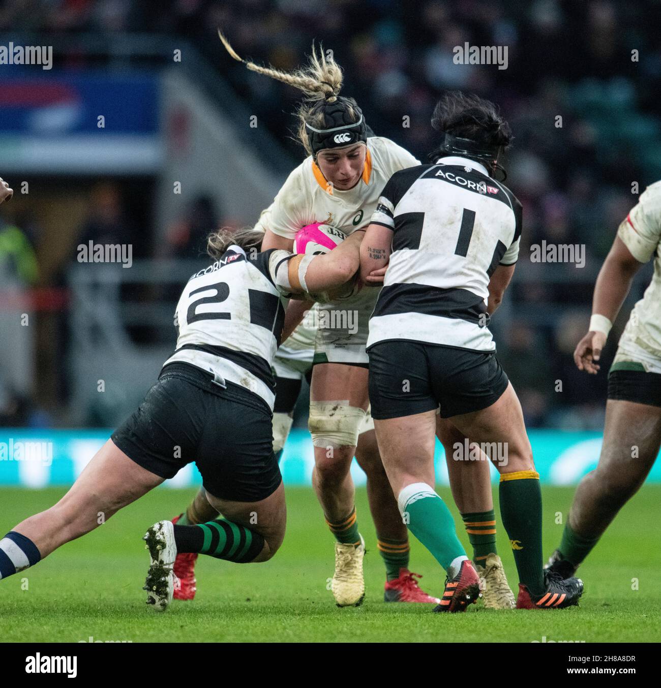 Catha jacobs hi-res stock photography and images - Alamy