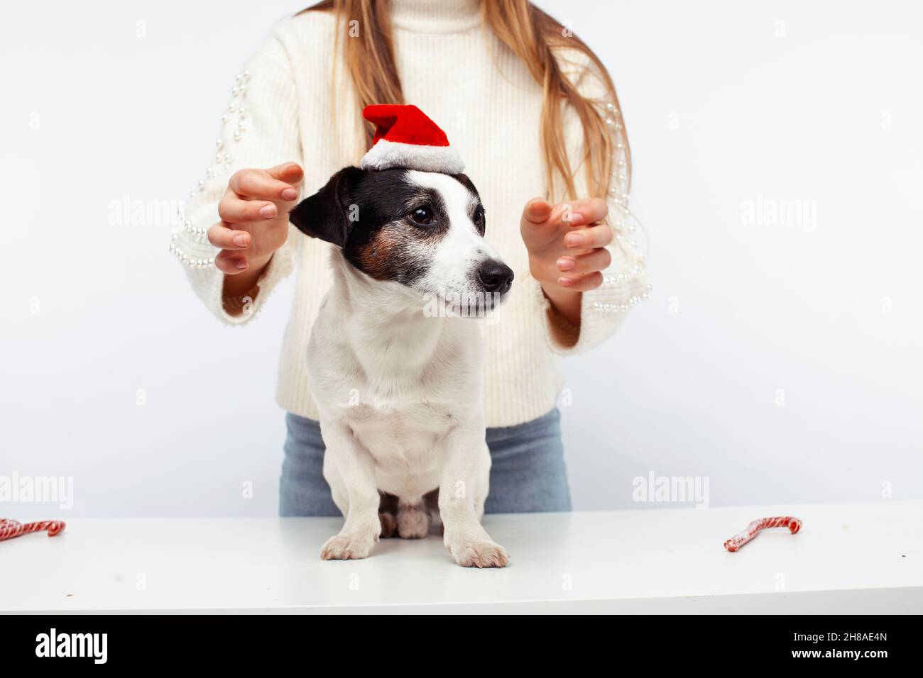 pretty young blond girl with her little cute dog wearing Santas red hat ...