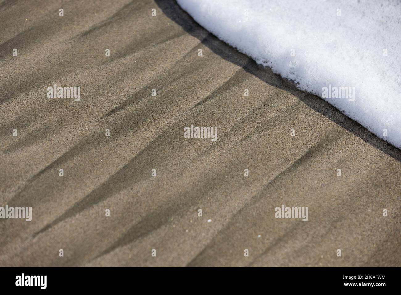 Geometric patterns in the sand and the foamy moving waves that caused ...