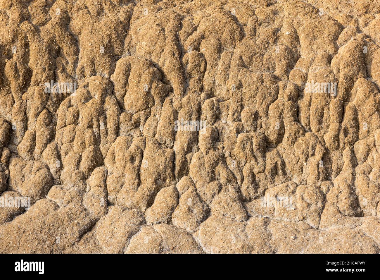 Sandy sea wall cliff texture from many years of water erosion Stock ...
