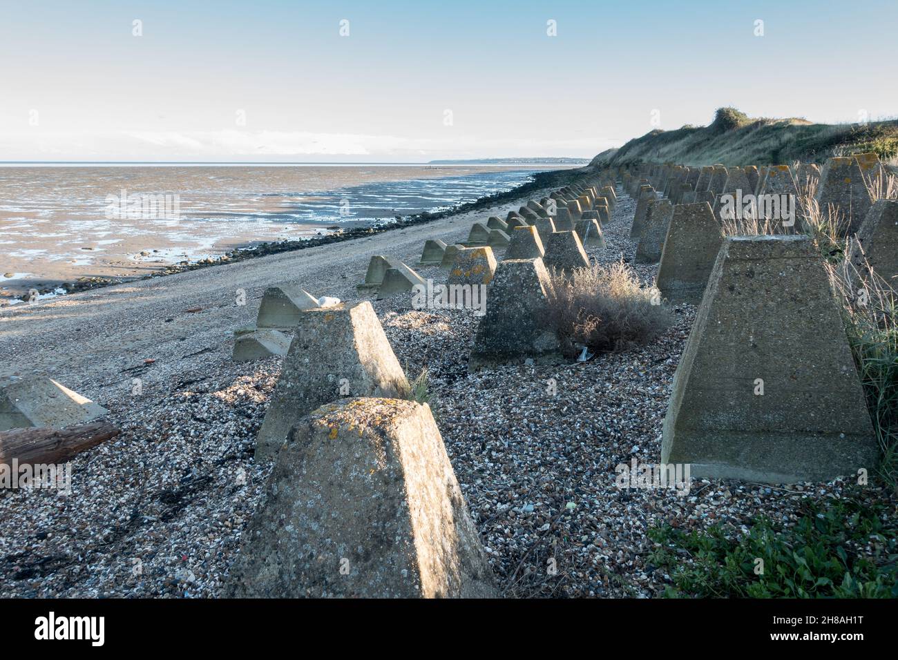 World War Two tank trap defences on the Isle of Grain, Kent, England ...