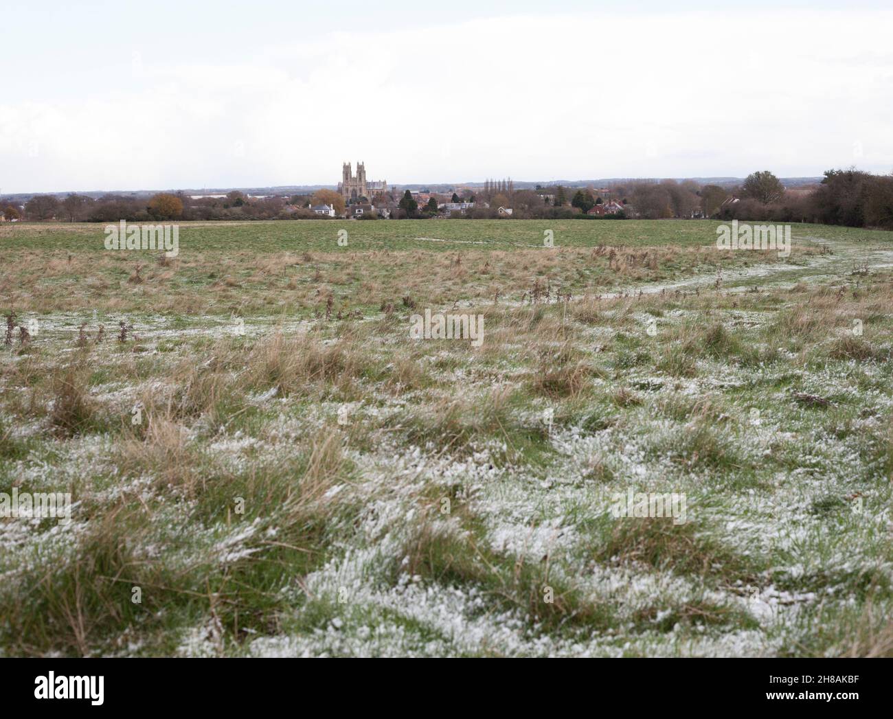 Beverley Westwood common pasture with light dusting of snow winter 2021 ...