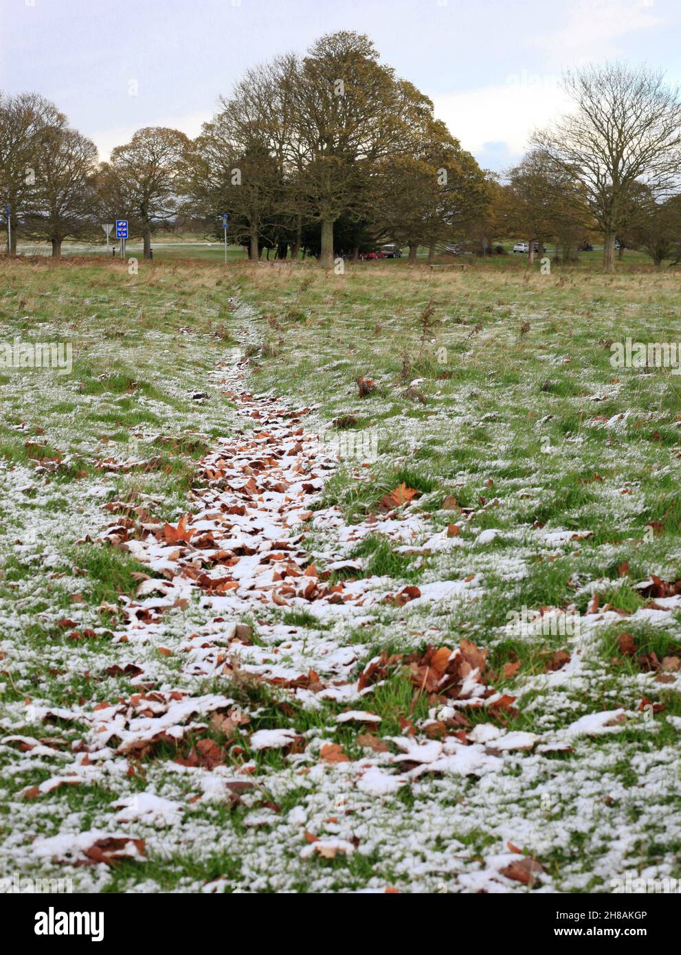 Beverley westwood east yorkshire snowy hi-res stock photography and ...