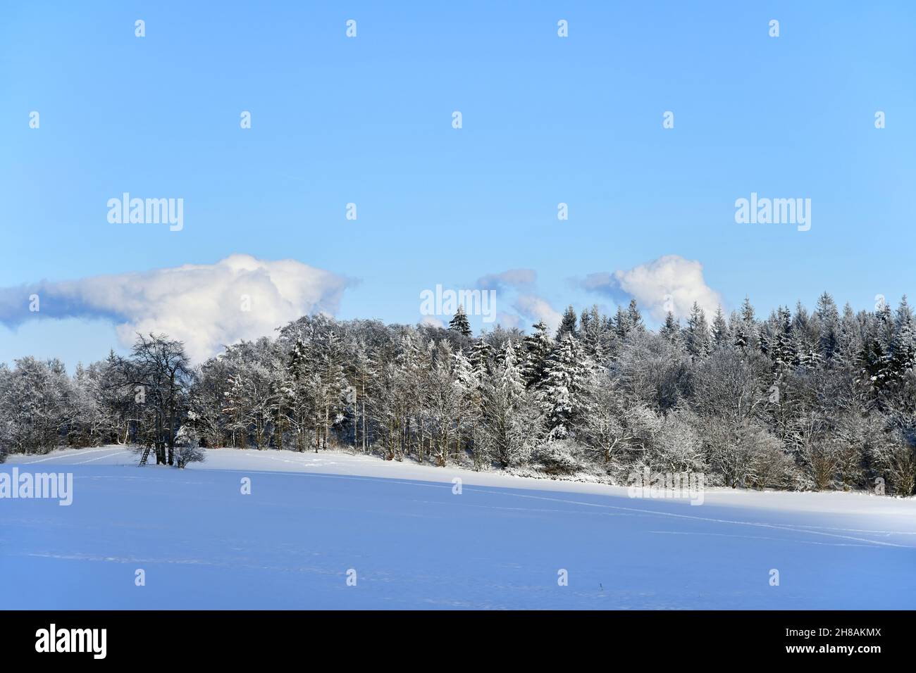 Weather is nice hi-res stock photography and images - Alamy