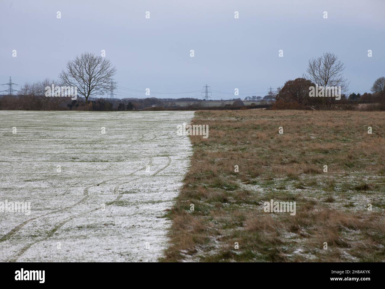 Beverley Westwood common pasture with light dusting of snow on golf ...