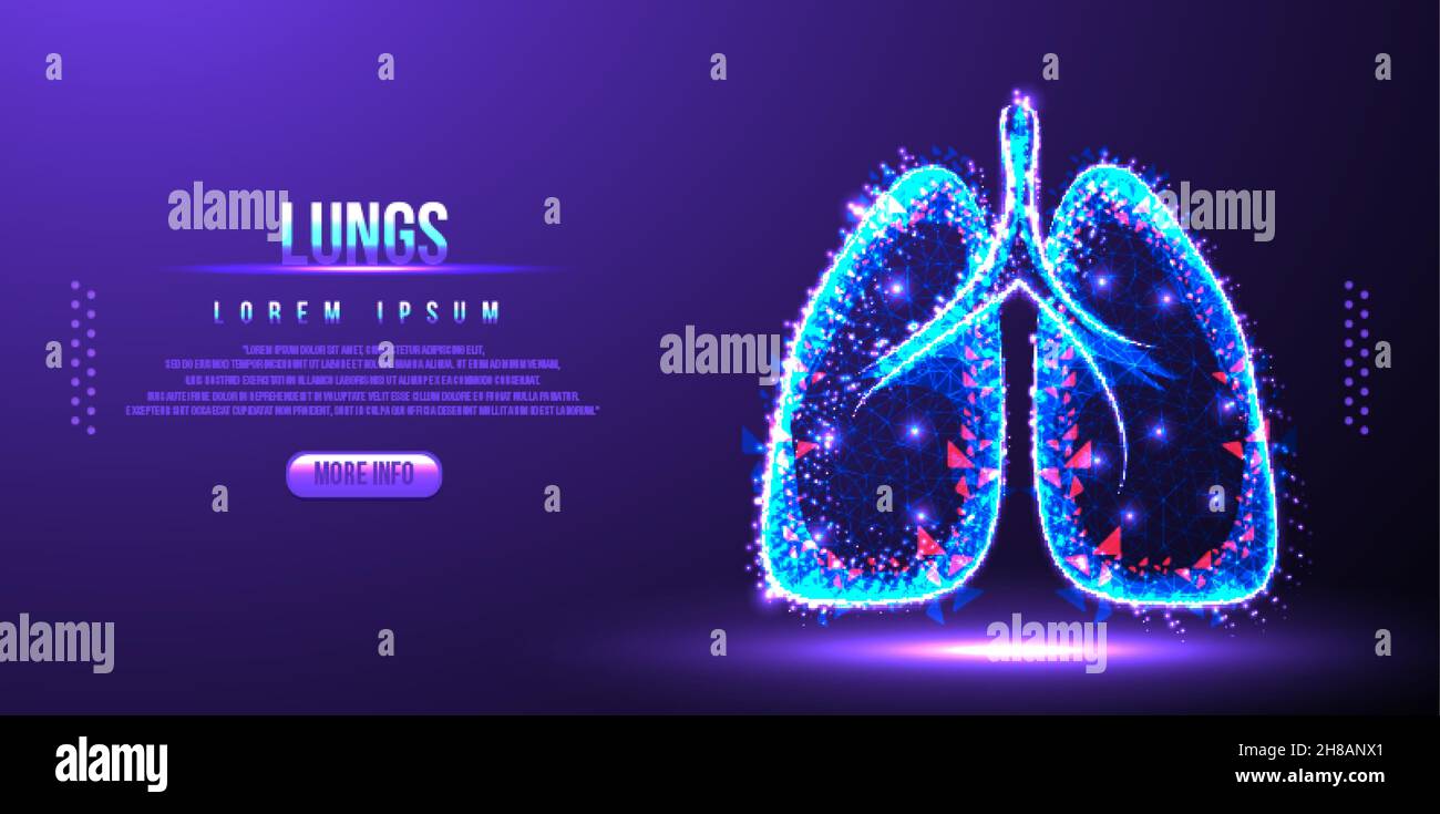 Human lung low poly hi-res stock photography and images - Alamy