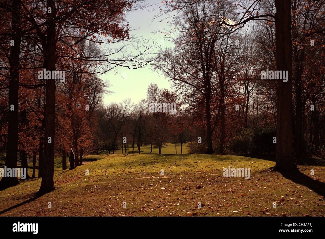 The Perfect View Stock Photo - Alamy
