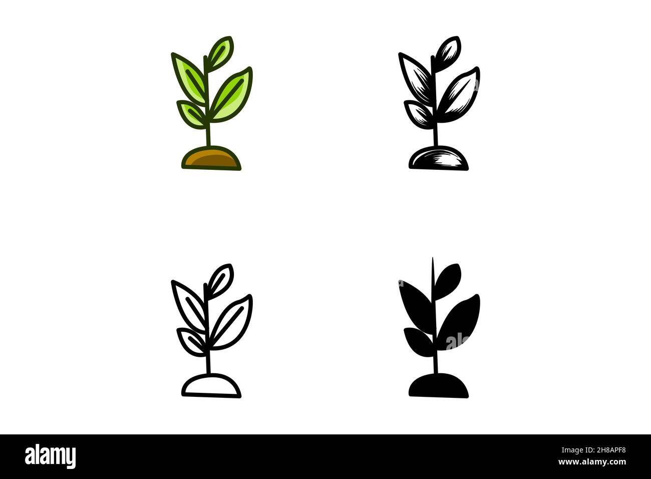 seed isolated on white background, vector illustration Stock Vector ...