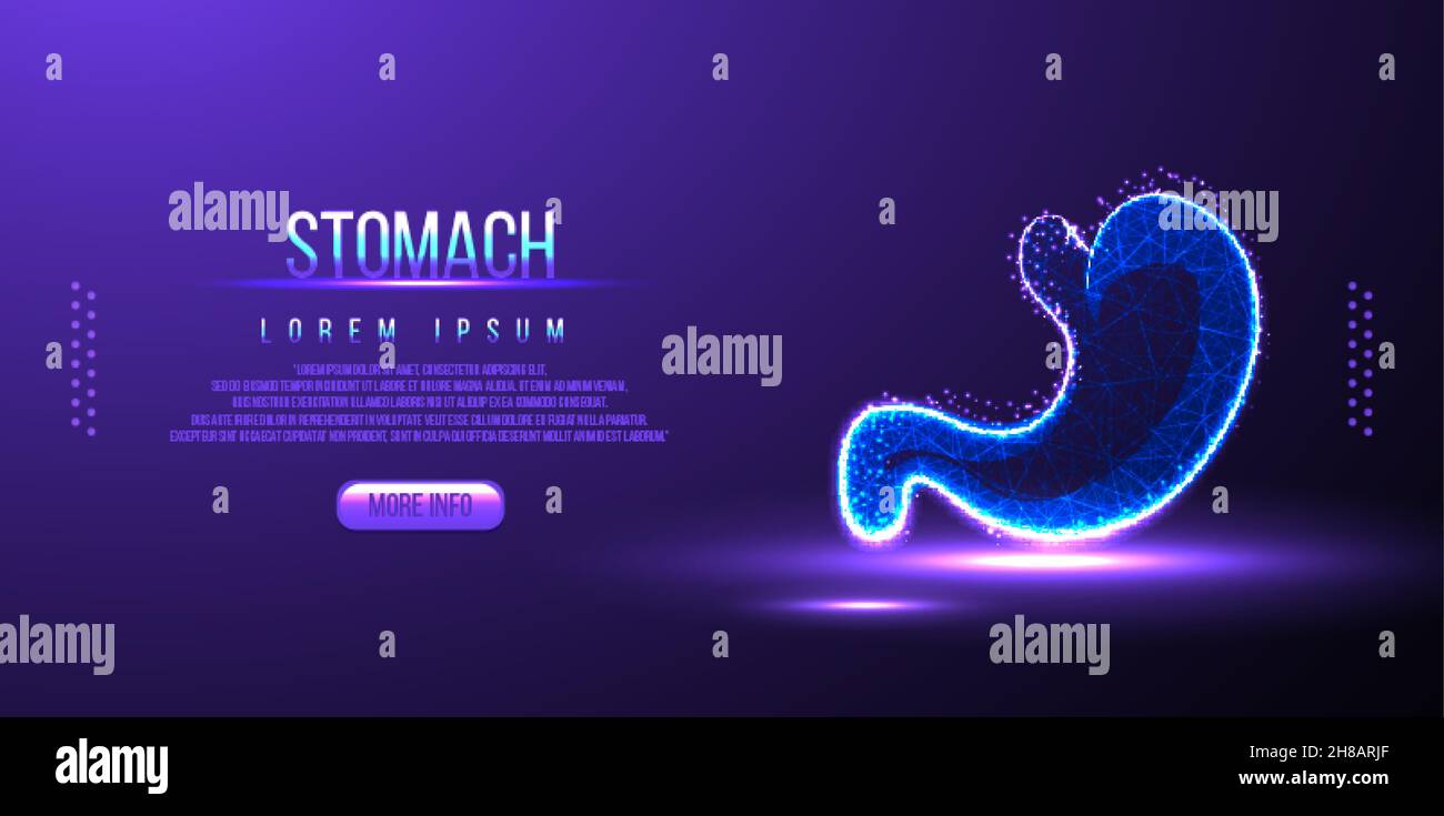 human stomach low poly wireframe Stock Vector Image & Art - Alamy