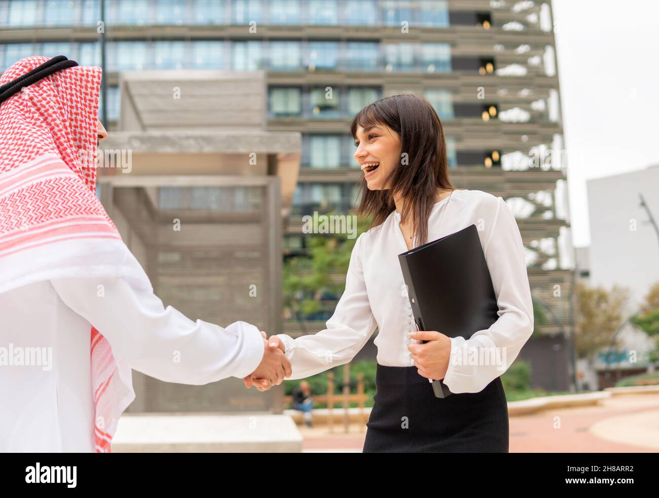 Business negotiations young happy arab hi-res stock photography and ...