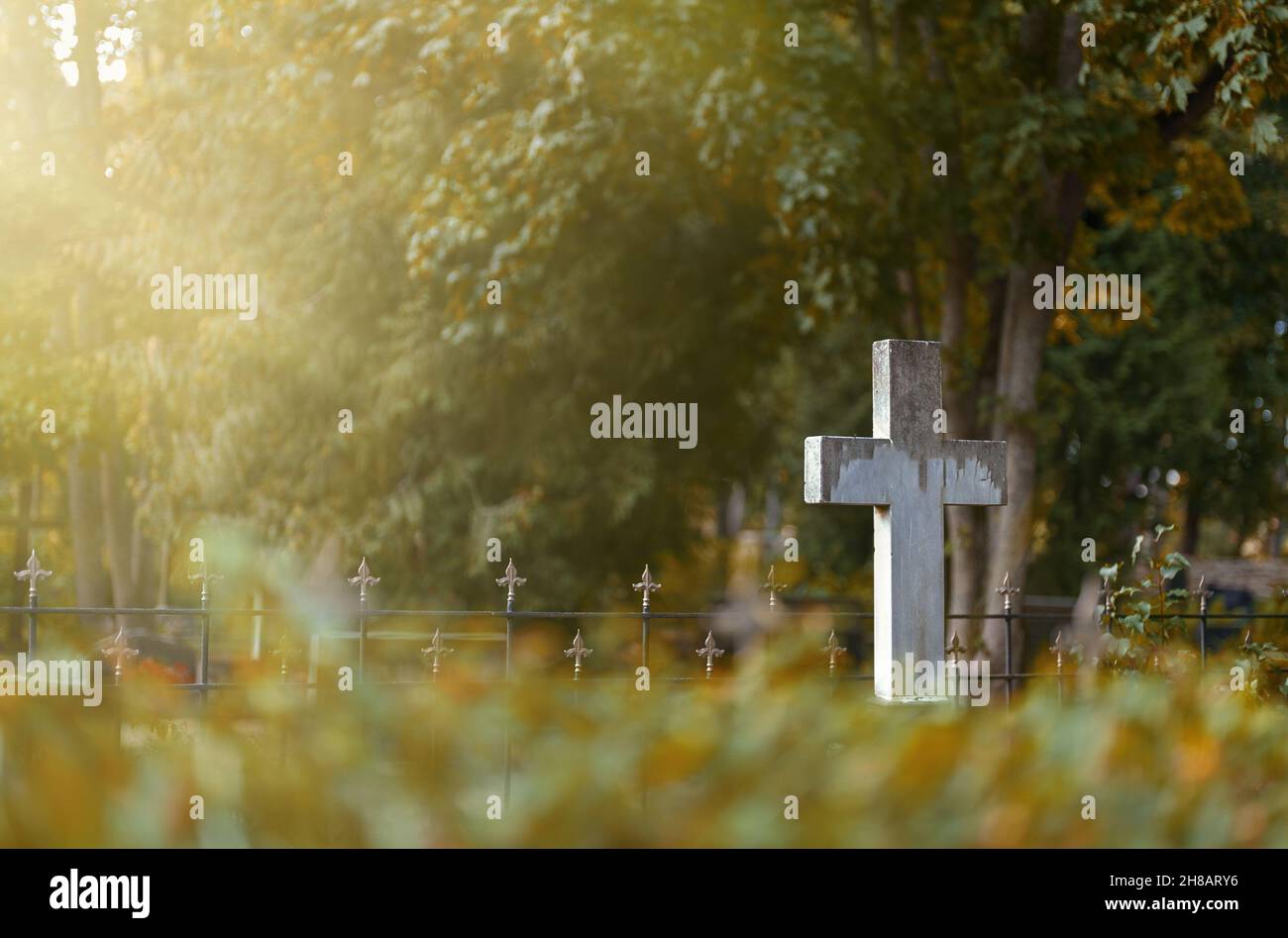 Old forgotten grave in the forest cemetery Stock Photo - Alamy