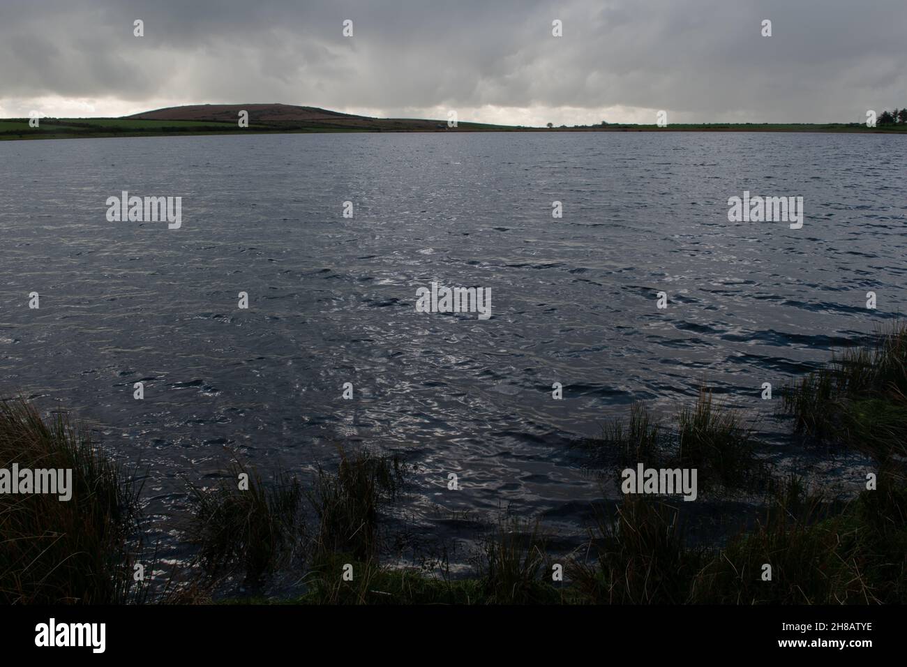 Dozmary Pool on Bodmin Moor, Cornwall, England Stock Photo - Alamy