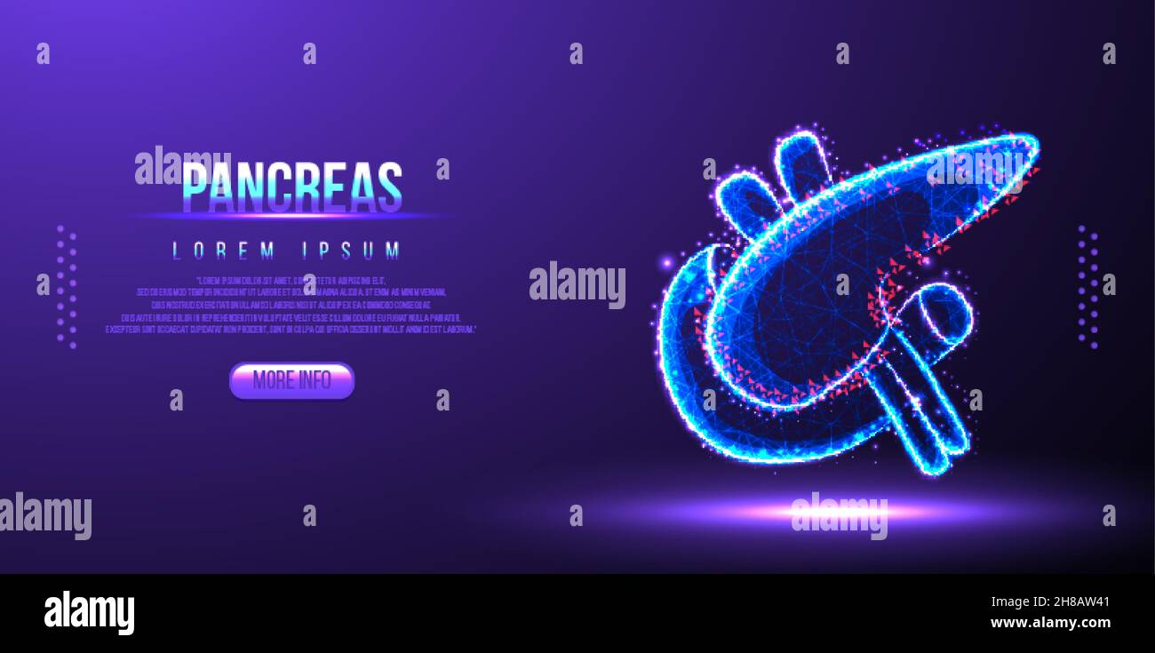 Low poly human stomach Stock Vector Images - Alamy