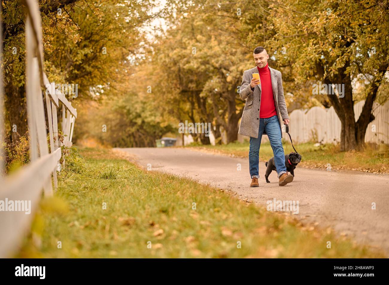 Man walking bulldog hi-res stock photography and images - Alamy