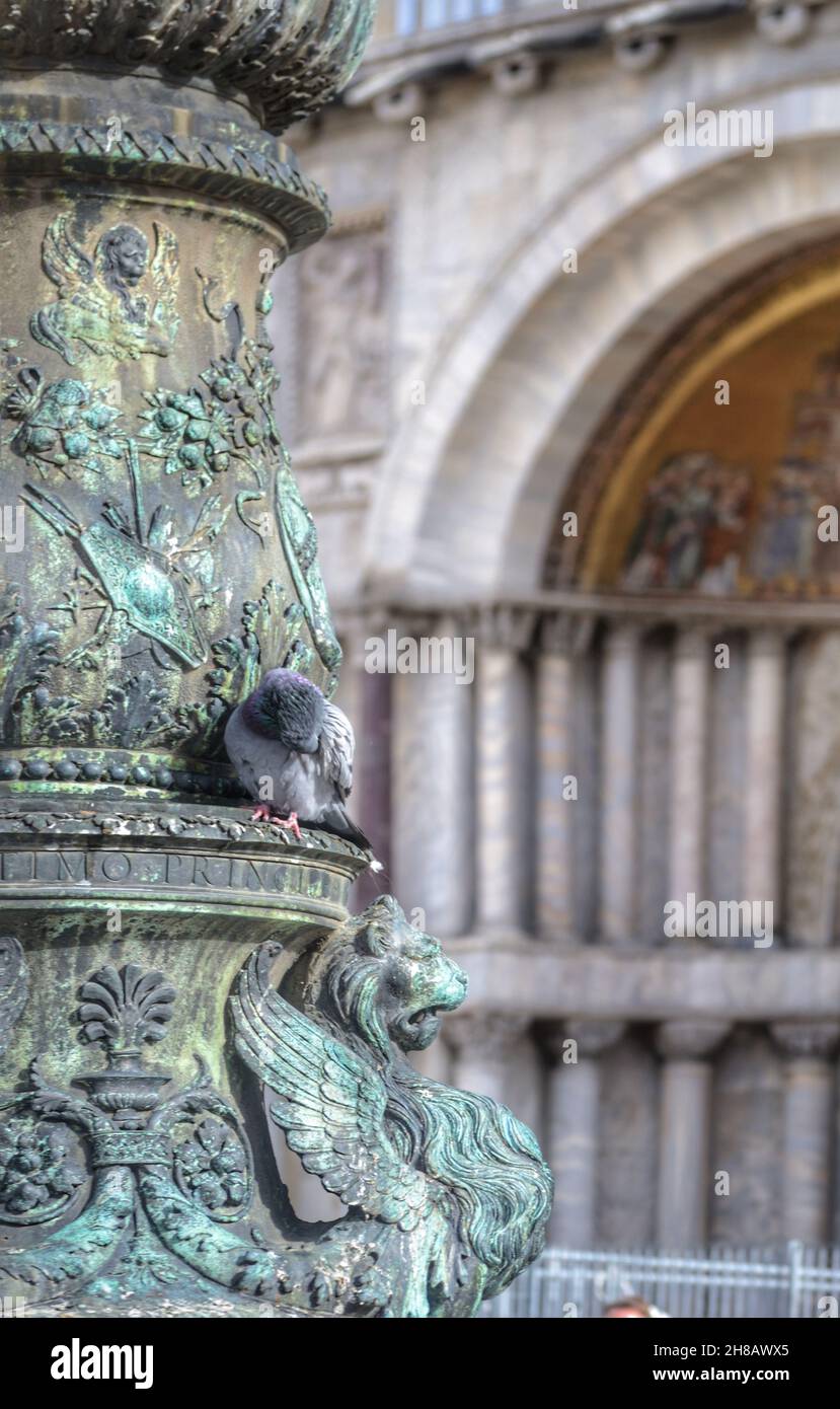 a pigeon on a bronze column at San Marco square Stock Photo - Alamy