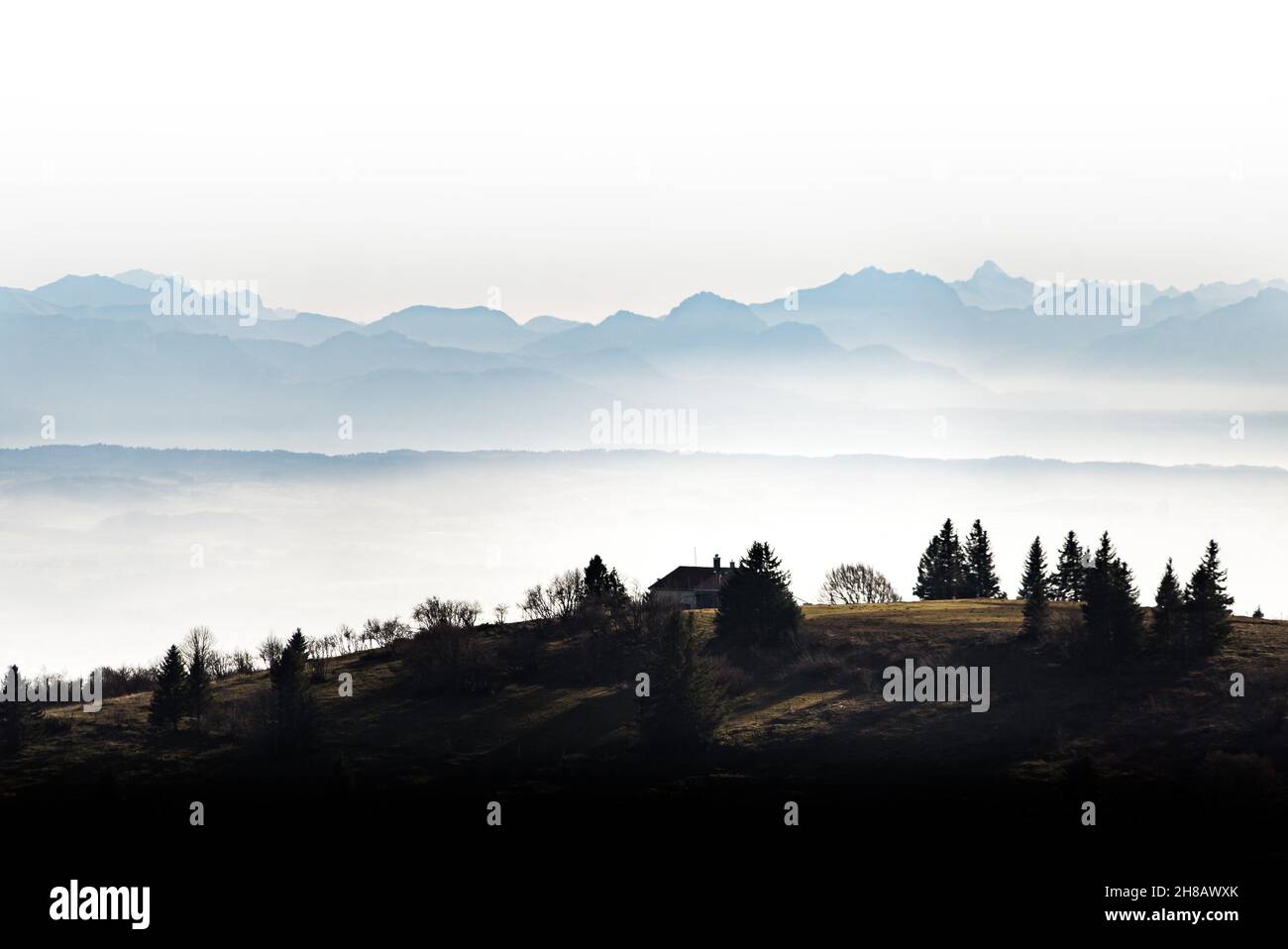 Isolated mountains range with forest hi-res stock photography and ...