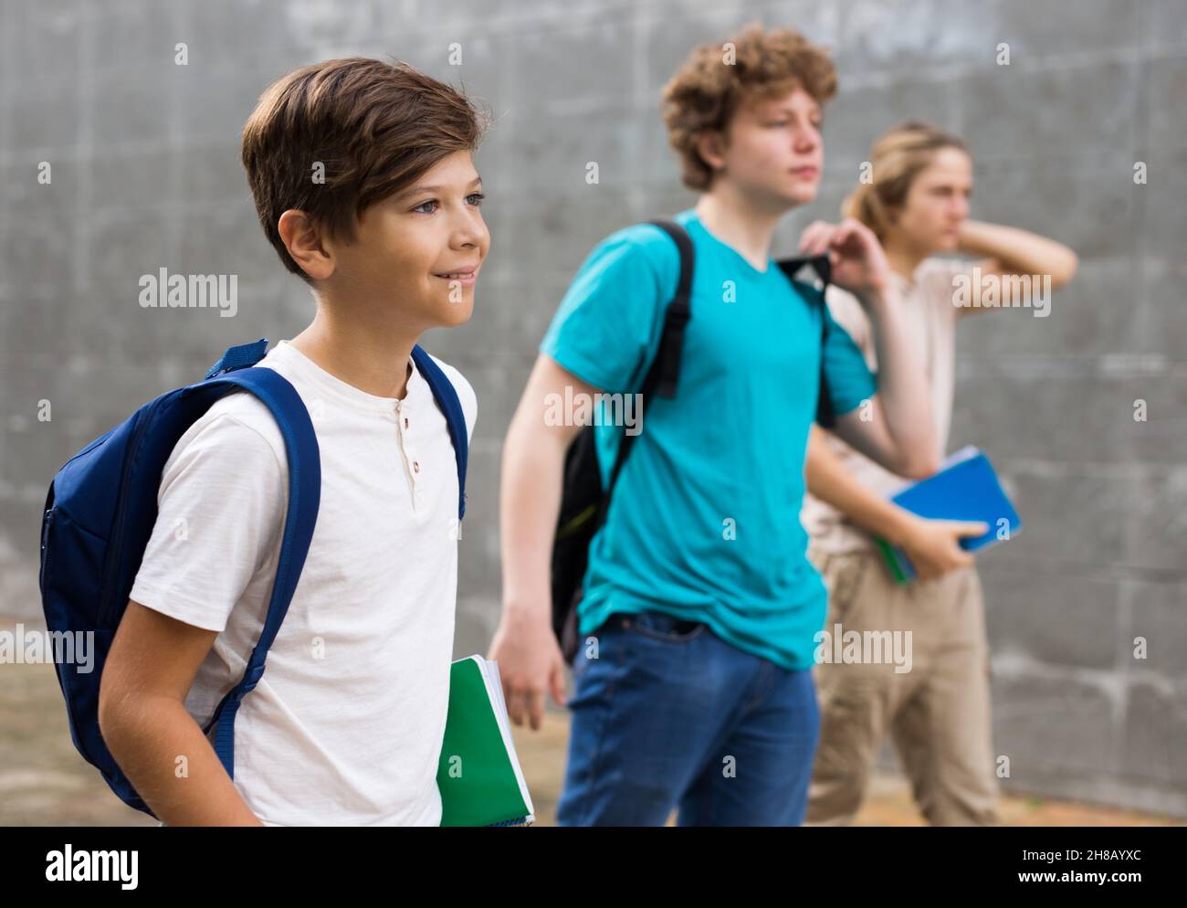 Teenager boy going to school lessons Stock Photo - Alamy