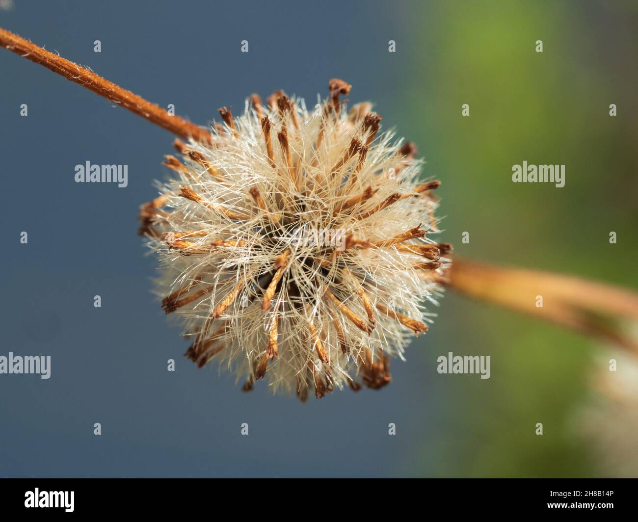 Blended shapes hi-res stock photography and images - Alamy