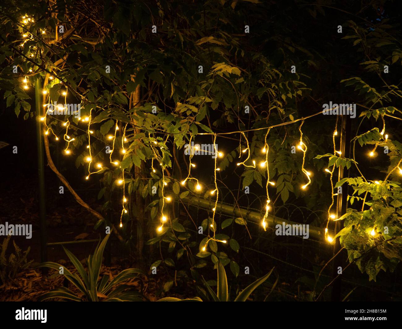 Hung strung up hi-res stock photography and images - Alamy