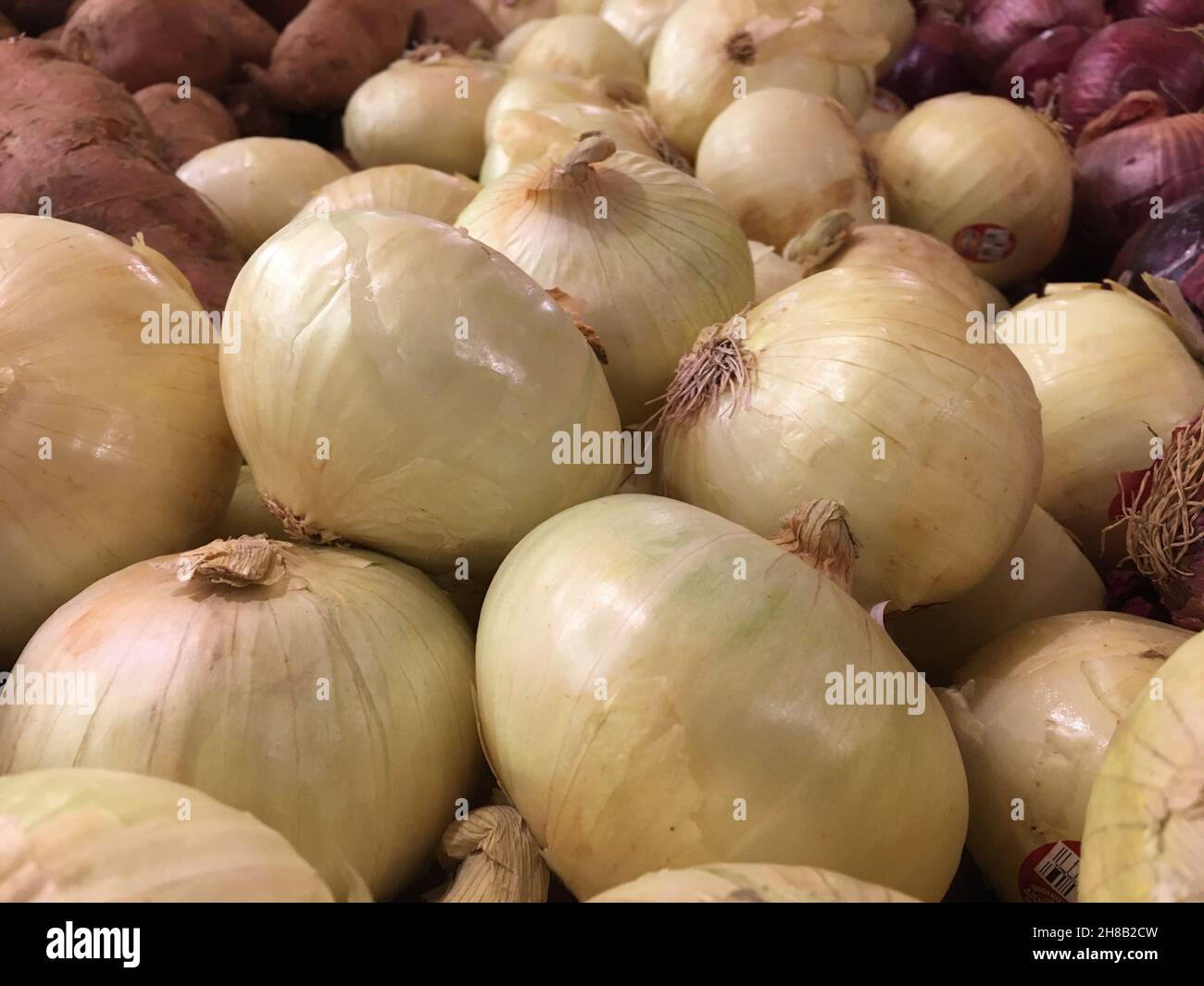 Georgia peel hi-res stock photography and images - Alamy