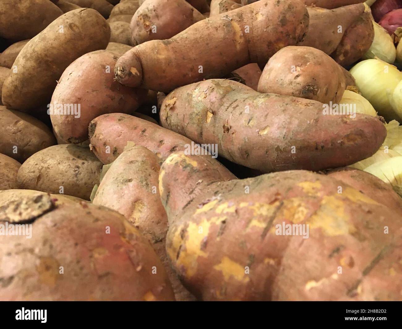 Purple sweet potato display hi-res stock photography and images - Alamy