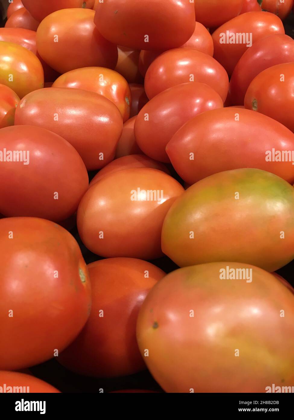 Pile of Roma Tomatoes on display in a grocery store in Georgia Stock Photo - Alamy