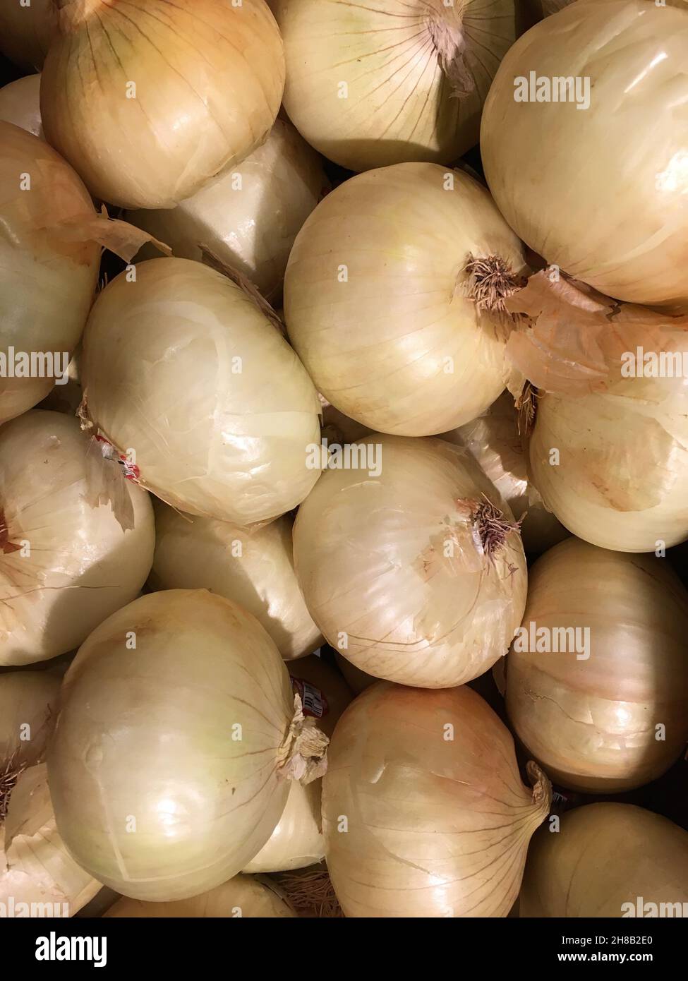 Onions on display in a grocery retail store in Georgia Stock Photo - Alamy