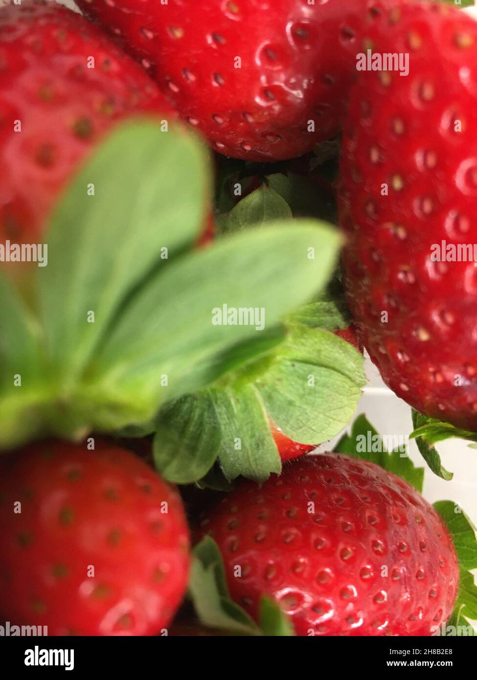 Pile of strawberries on display in a grocery store in Georgia Stock ...