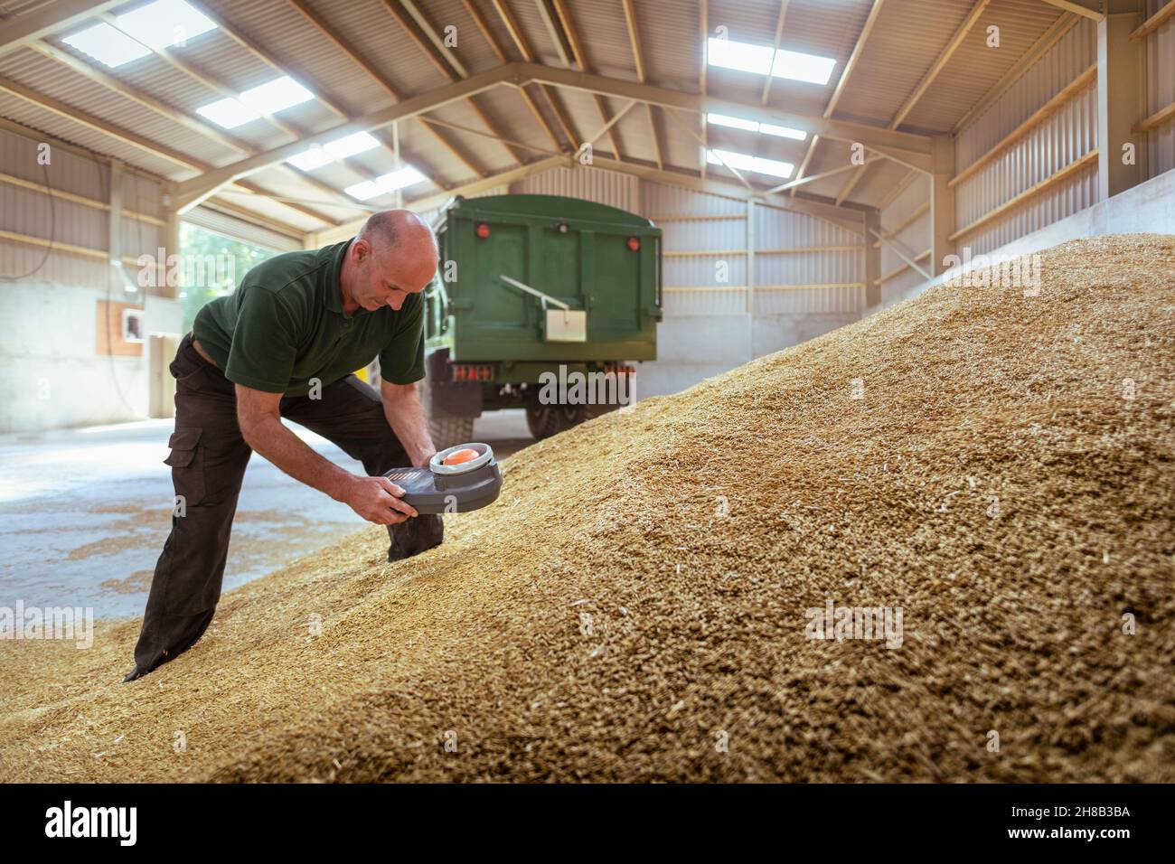 Weighing of grain hi-res stock photography and images - Alamy