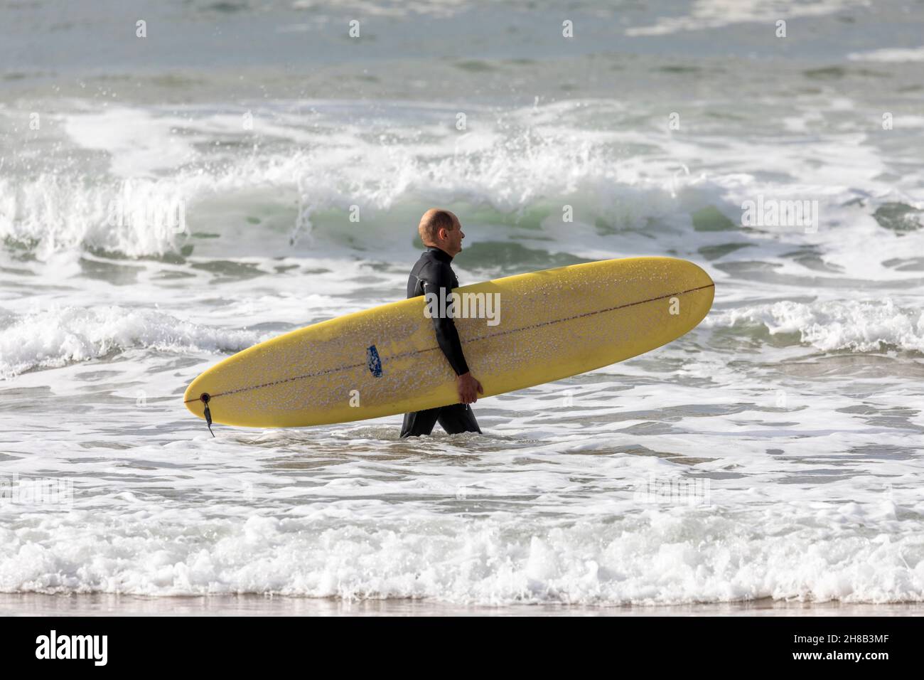 Middle aged male surfer in wetsuit carrying his surfboard into the ...