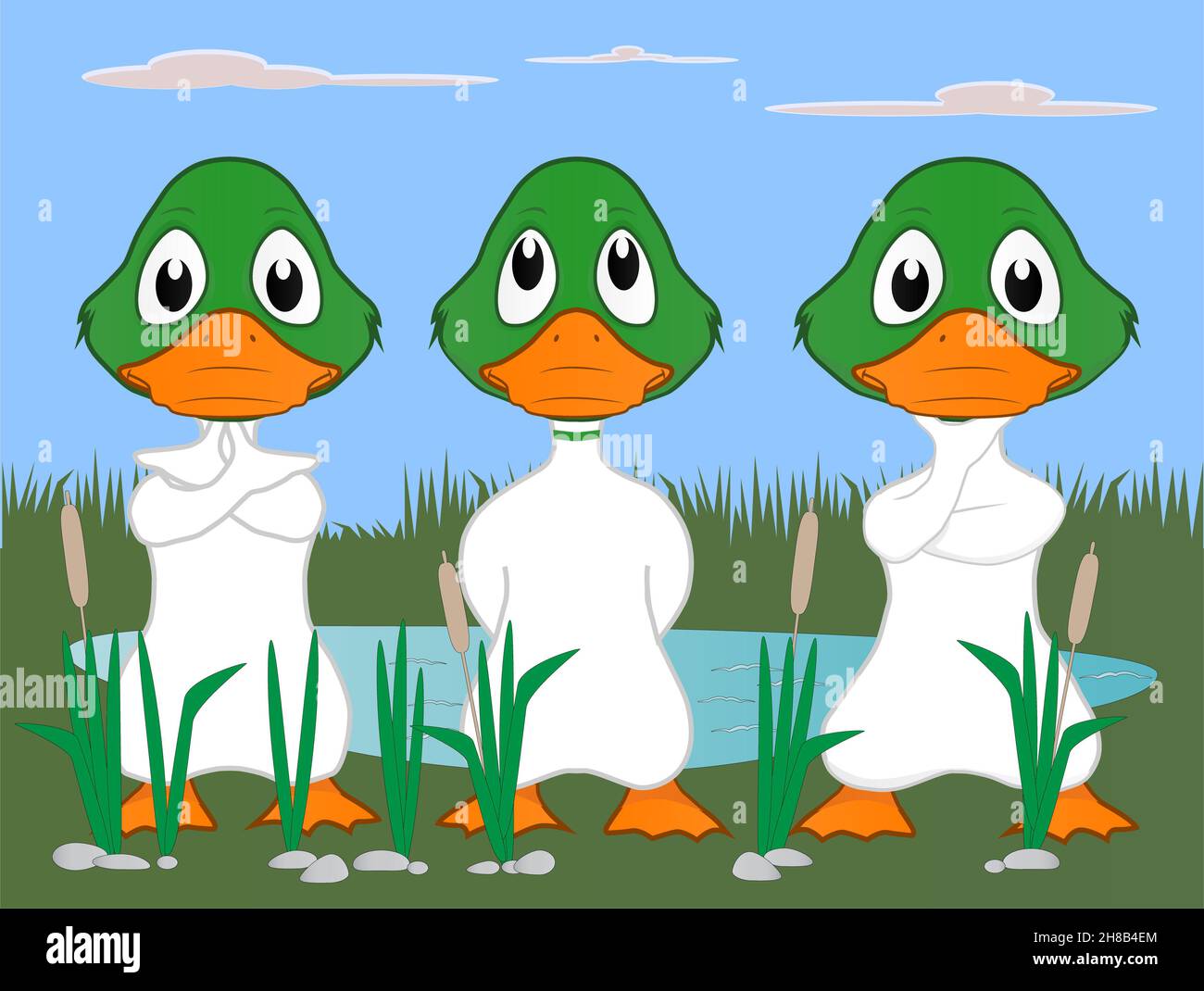 Vector cartoon ducks hi-res stock photography and images - Alamy