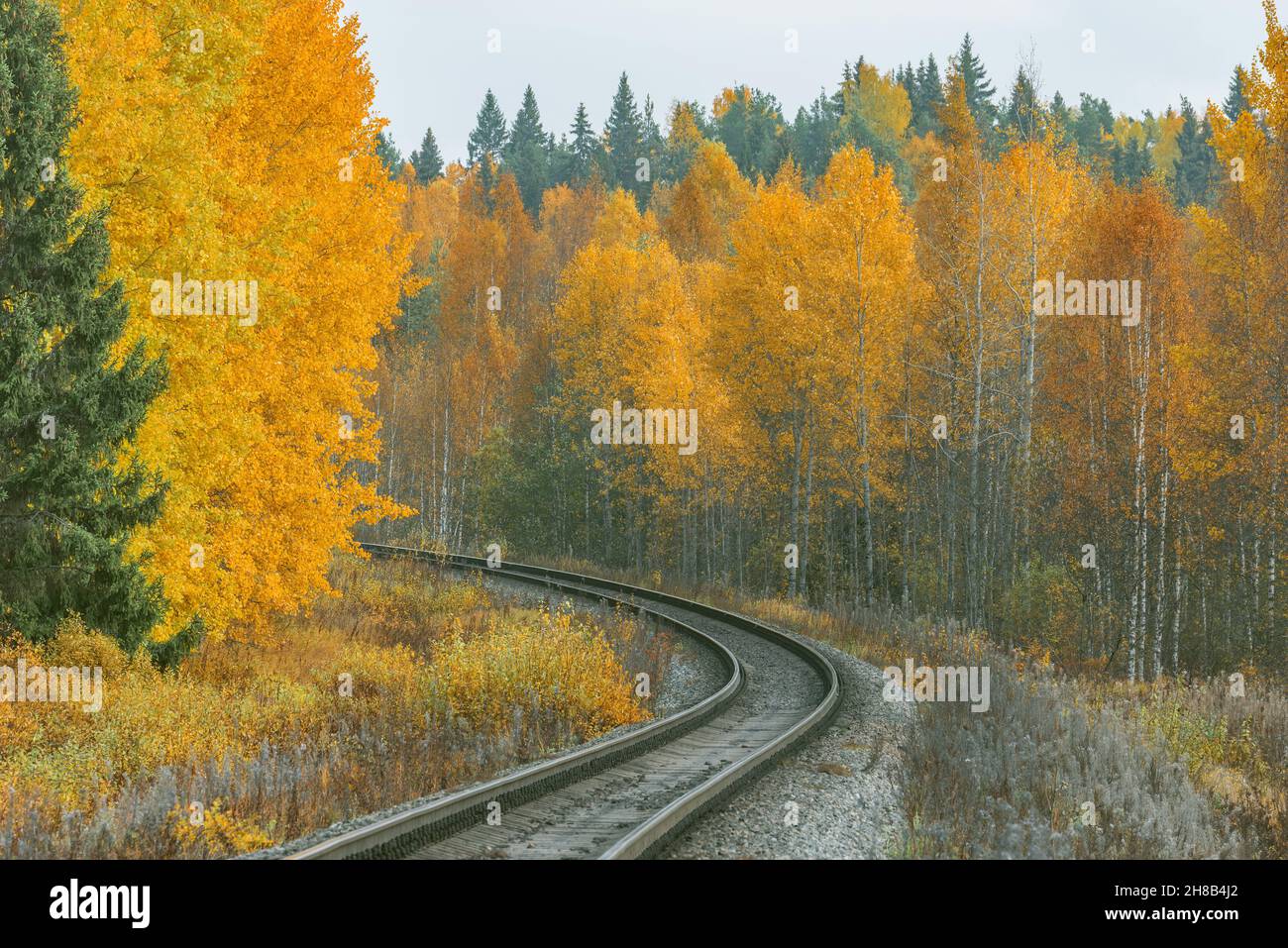 Long railway line at autumn day time Stock Photo - Alamy