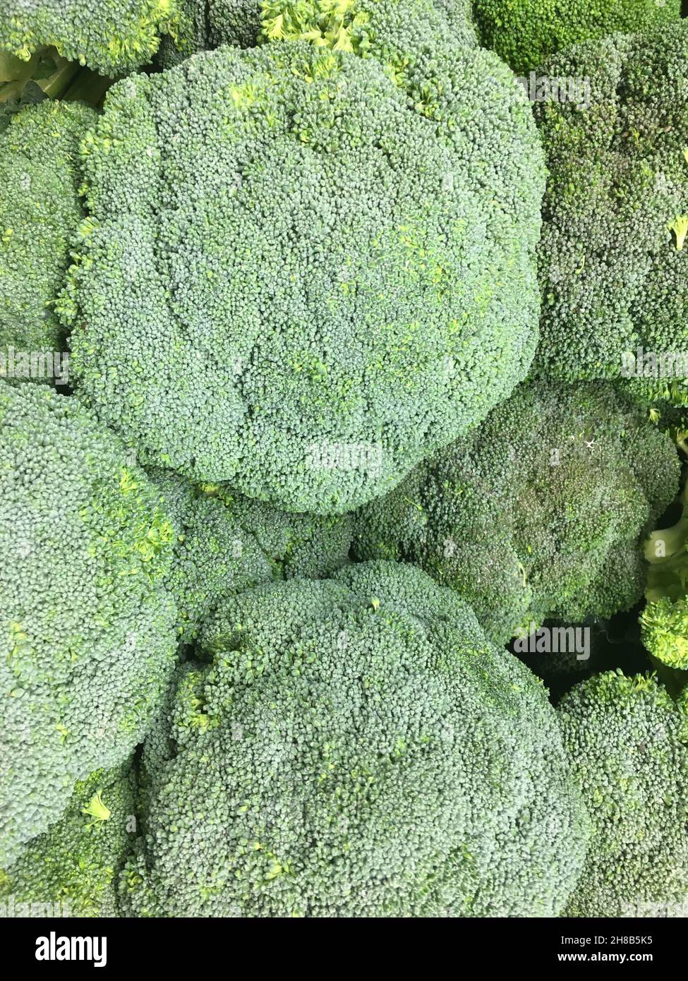 Heads of broccoli crowns bunched up together Stock Photo - Alamy