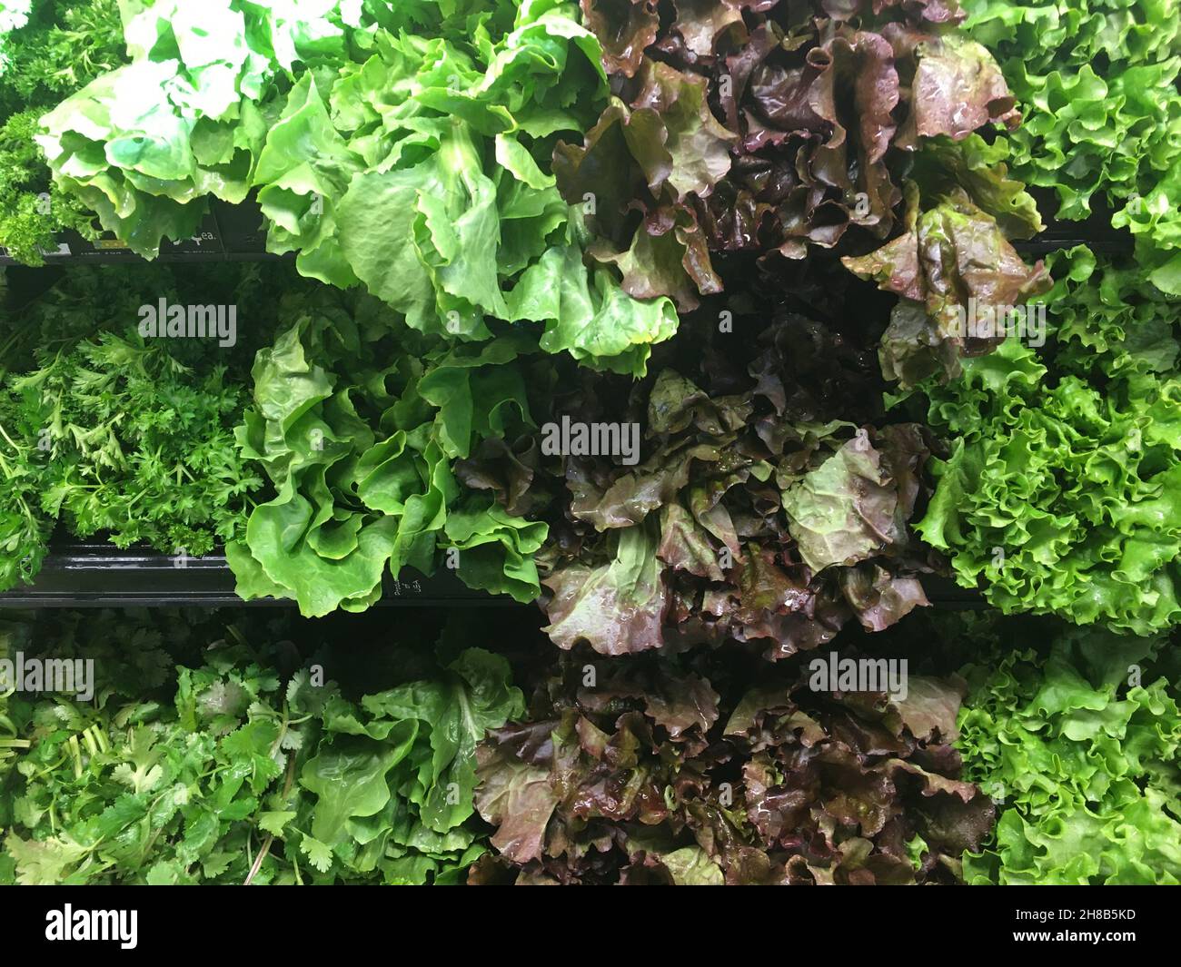 Bunched up hi-res stock photography and images - Alamy