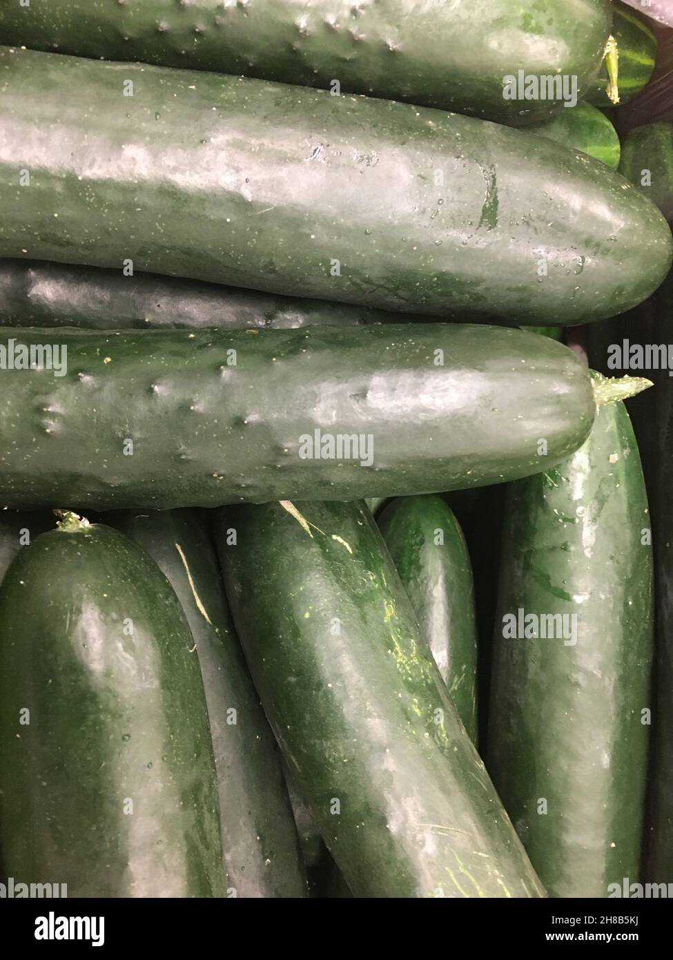 Bunch of green cucumbers grouped together Stock Photo - Alamy