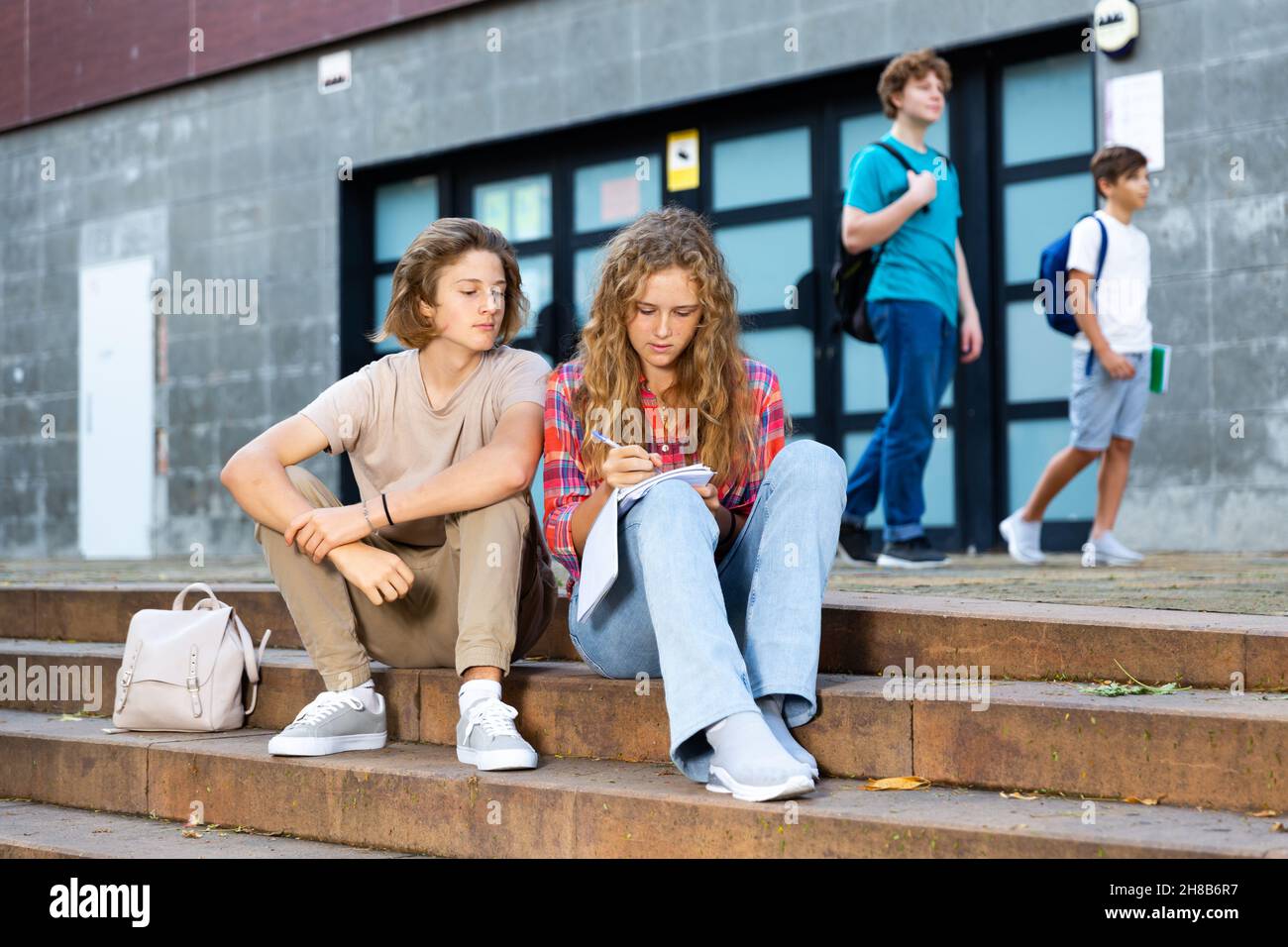 Teenage students preparing lessons together during recess Stock Photo ...