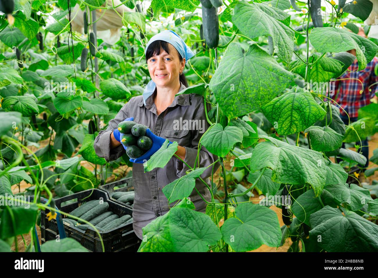 Two german male farmers hi-res stock photography and images - Alamy