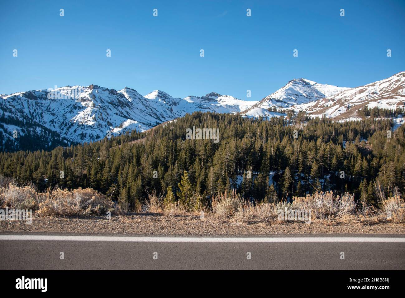 Sonora Pass along State Route 108 is California's second highest ...