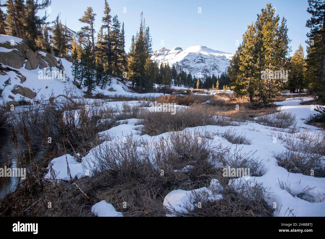 Sonora Pass along State Route 108 is California's second highest ...