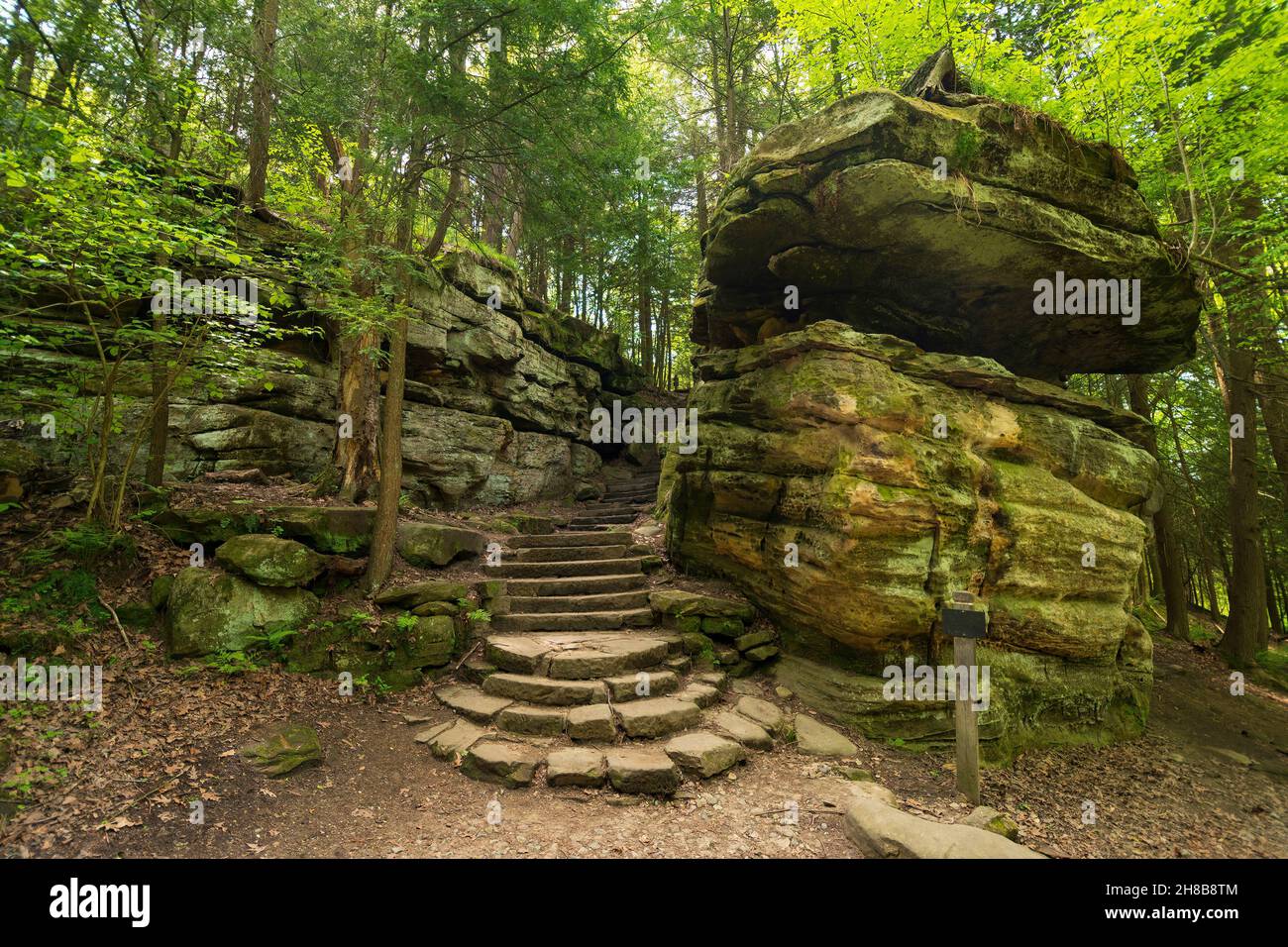 Ccc park hi-res stock photography and images - Alamy
