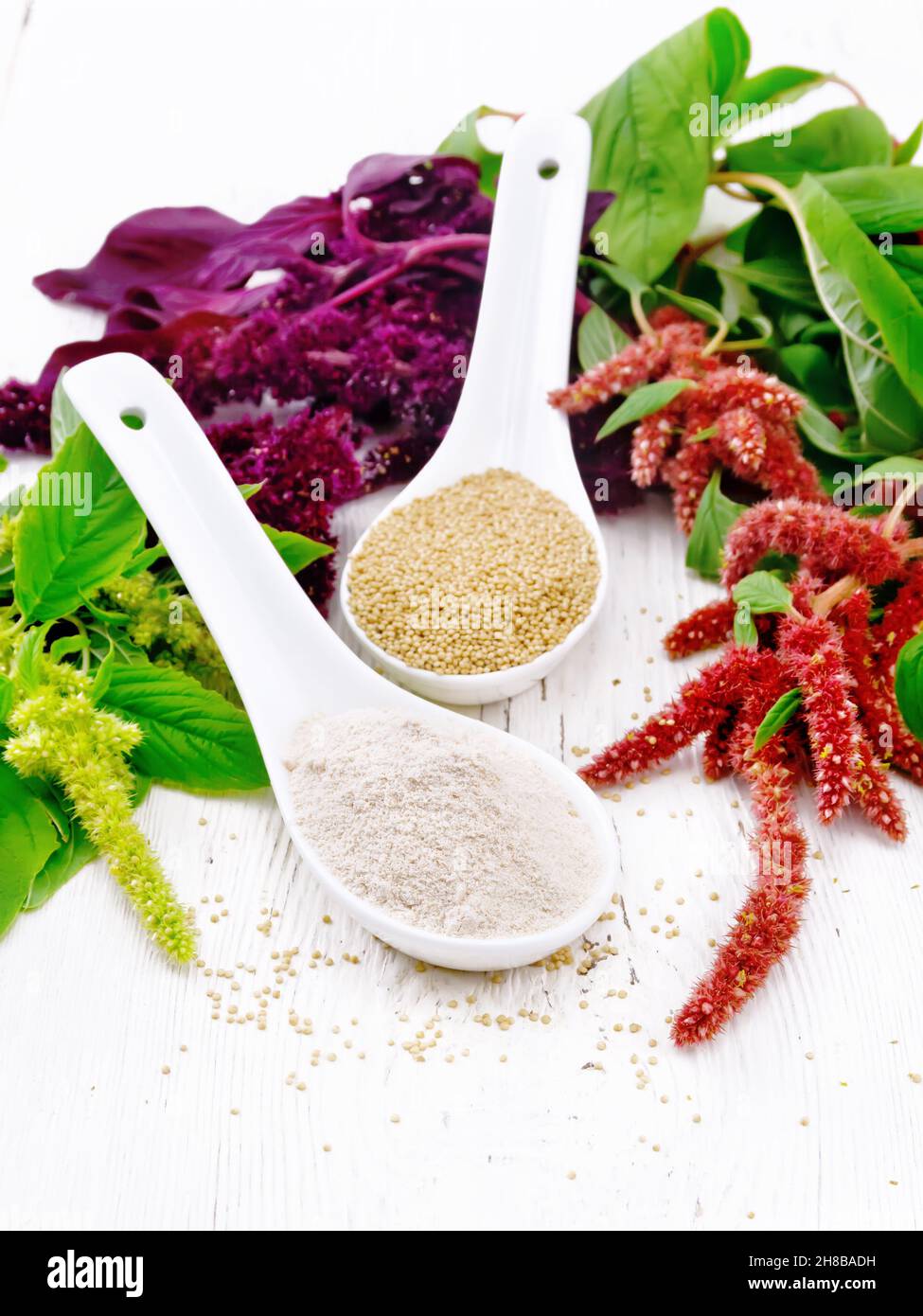 Flour and seeds amaranth in two spoons, multicolored flowers and leaves ...