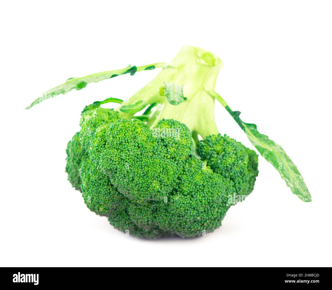 Fresh green broccoli on white background Stock Photo - Alamy