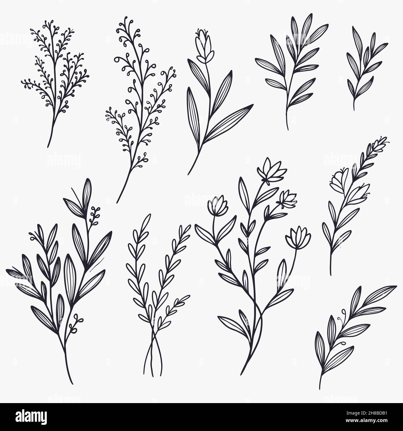 Decorative elements vector hi-res stock photography and images - Alamy