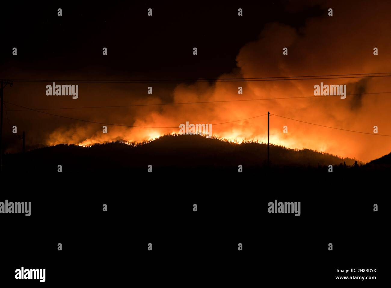 Fir and smoke from a wildfire with power lines silhouetted Stock Photo ...